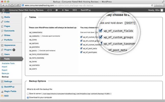 How to Backup Your Wordpress Blog or Website the Easy Way