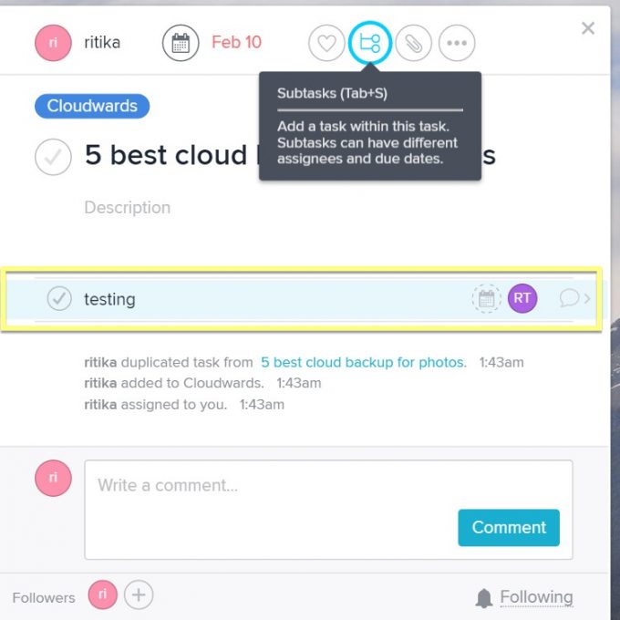 Trello vs Asana: Tame the Project Management Beast