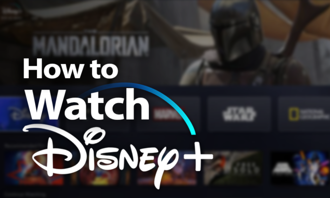 How to Get a Disney Plus Free Trial [A Free Subscription in 2023 ]
