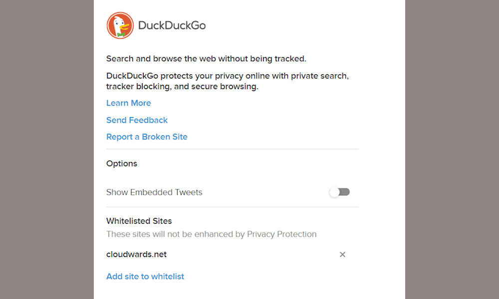 Best Privacy Extensions for Chrome in 2021