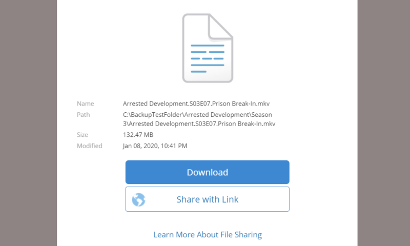 Backblaze Review 2024 [Pricing, Speed & Unlimited Storage]