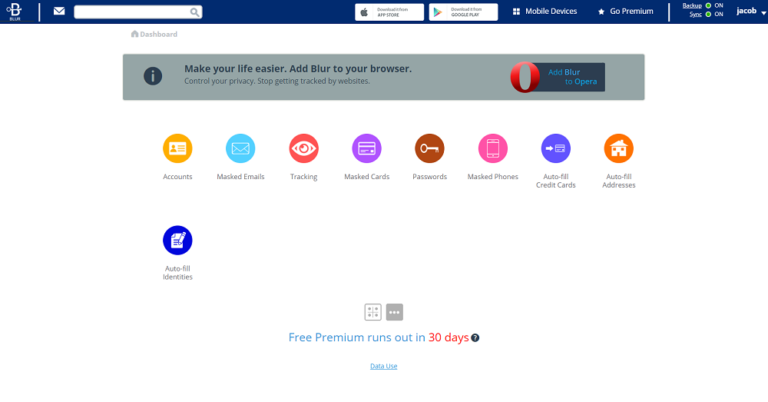 Blur Review - Updated 2021