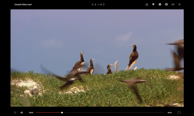 MEGA Review 2023 [Features, Pricing, Security & More]