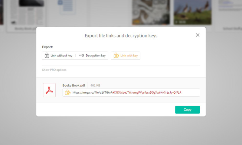 MEGA Review 2023 [Features, Pricing, Security & More]