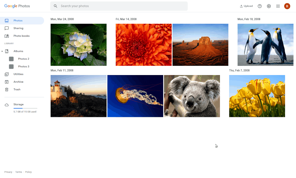 How to Transfer Photos From Dropbox to Google Photos in 2021