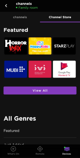 How To Add Channels To Roku in 2021: Endless Entertainment