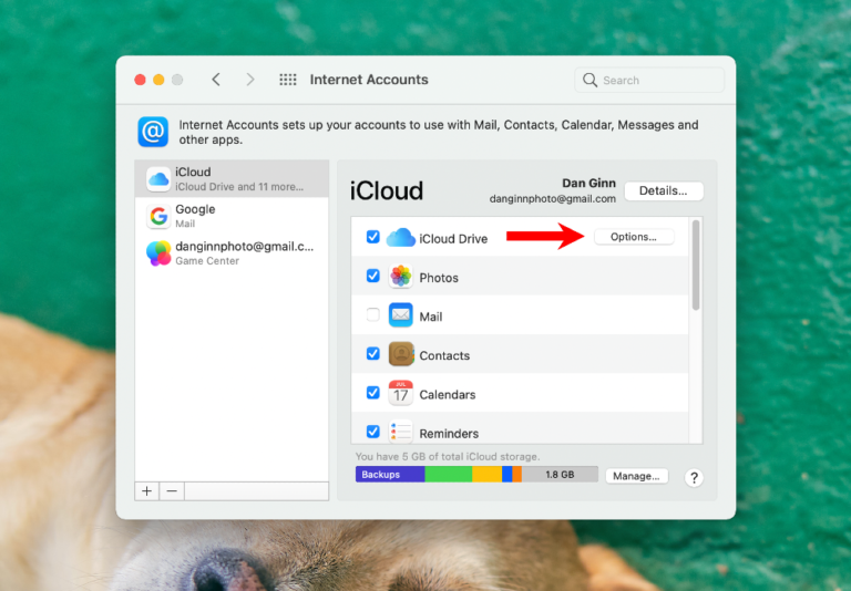 iCloud Storage Full? [5 Easy Ways to Free up Space in 2021 ]