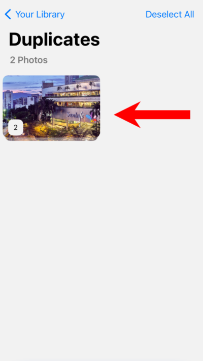 How to Delete Duplicate Photos on iPhone 2023 [Free Up Space]