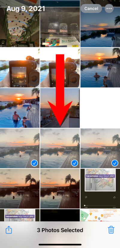 How to Delete Duplicate Photos on iPhone 2023 [Free Up Space]