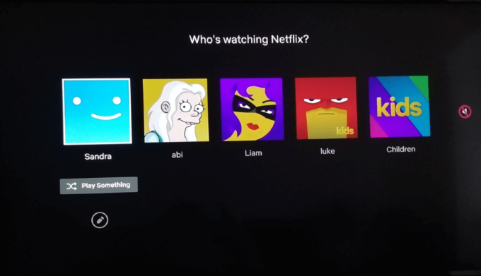 How to Watch Netflix on Roku in 2023 [Stream on Your TV]