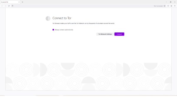 Tor Review 2022 [Is the Tor Browser Safe?]