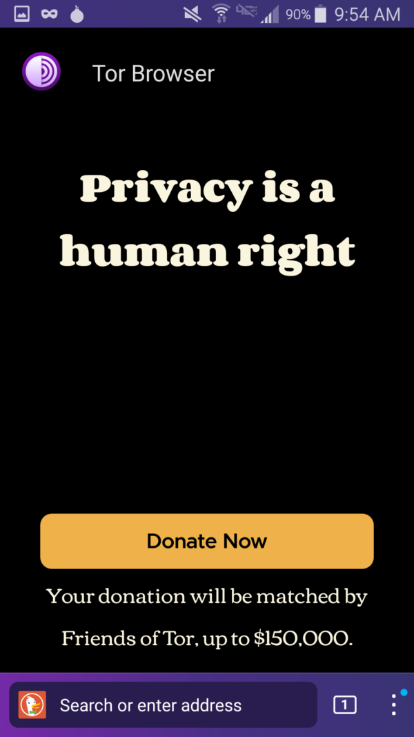 Tor Review 2023 [Is the Tor Browser Safe?]