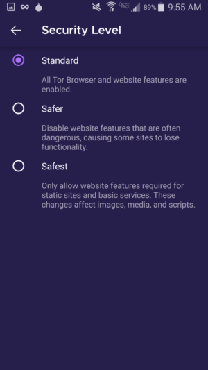 Tor Review 2023 [Is the Tor Browser Safe?]