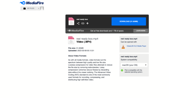 MediaFire Review 2025 [Is The Free Storage Safe & Legit?]
