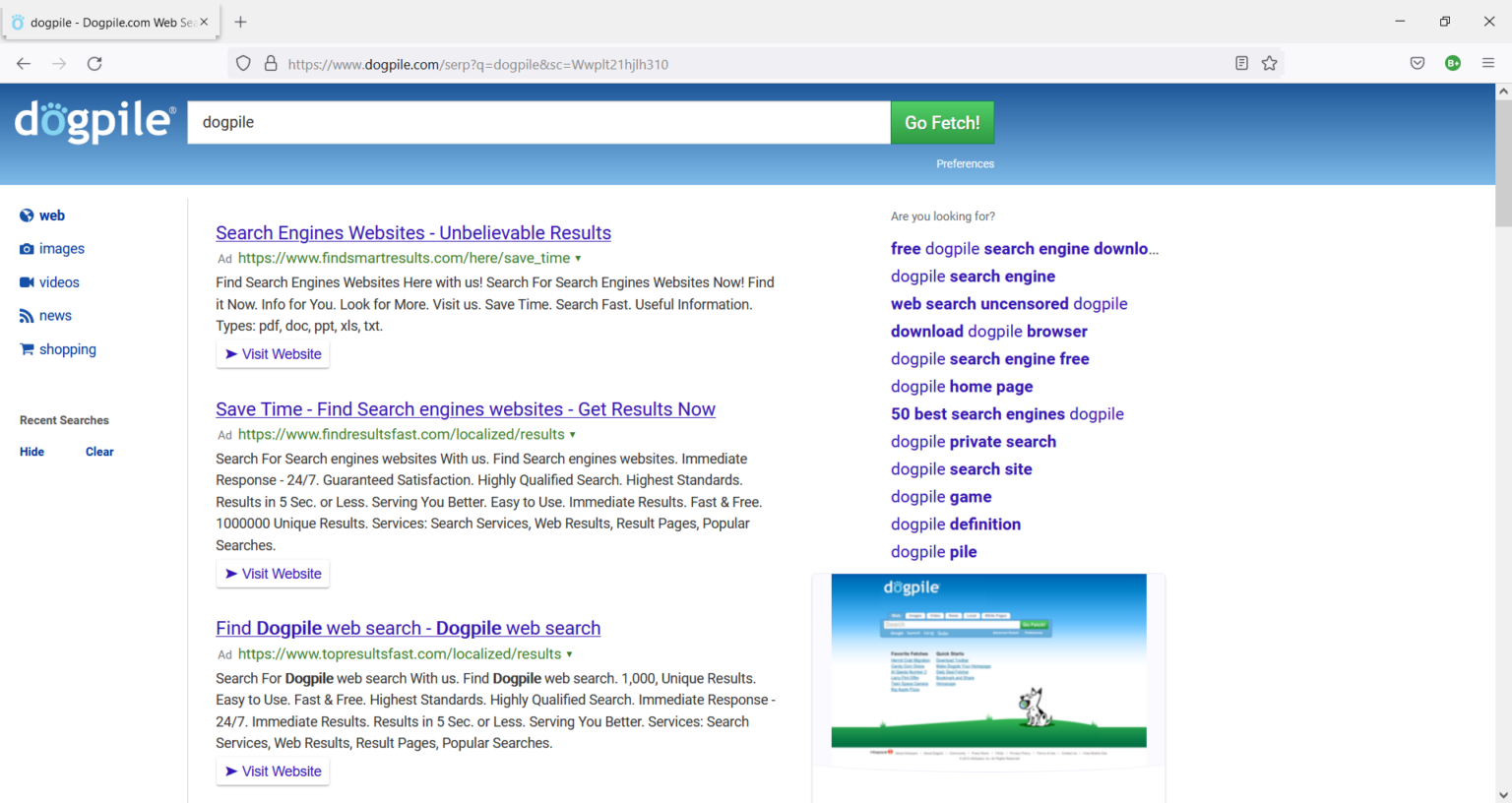 What is The Dogpile Search Engine? [2023 Full Guide]