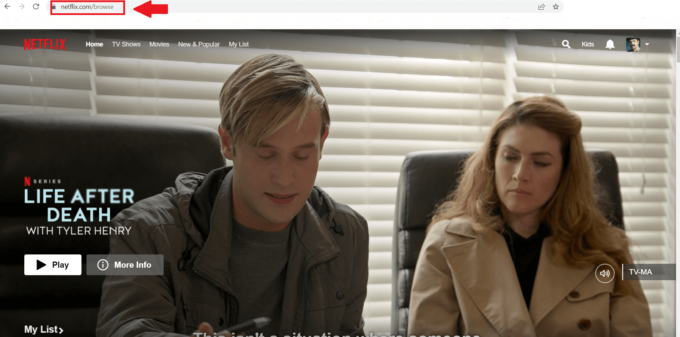 How to Watch American Netflix [Access U.S. Netflix Anywhere]