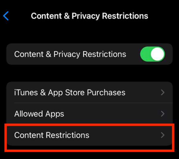 How to Set Parental Controls on iPhone and iPad in 2023