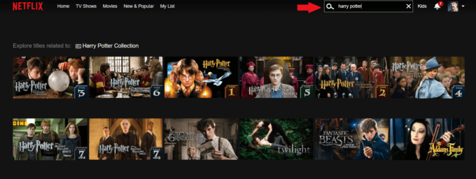 How & Where to Watch Harry Potter [Full Movies From Anywhere]