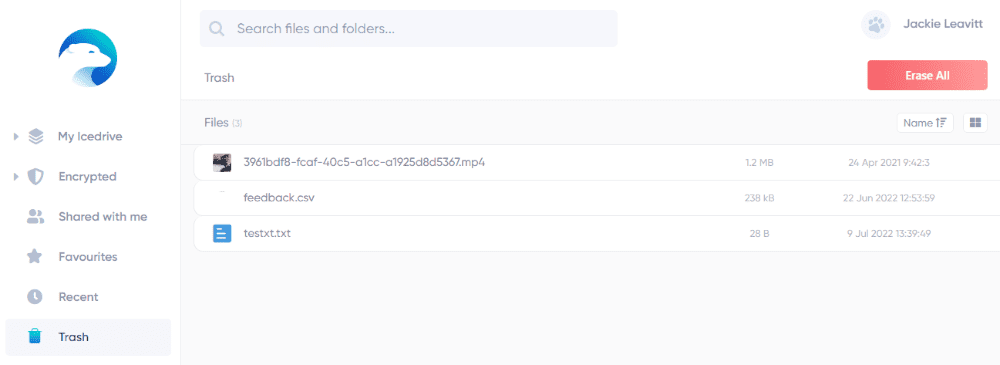 Icedrive vs MEGA 2023 [Features, Security & More Compared]