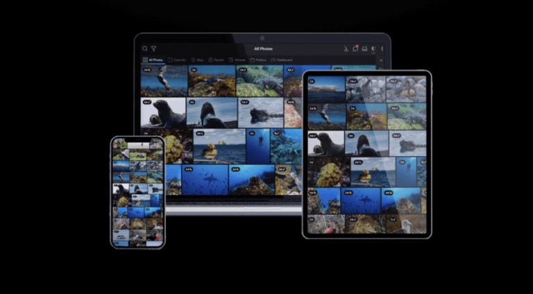 10 Best Photo Management Software in 2023 [Store Your Photos]