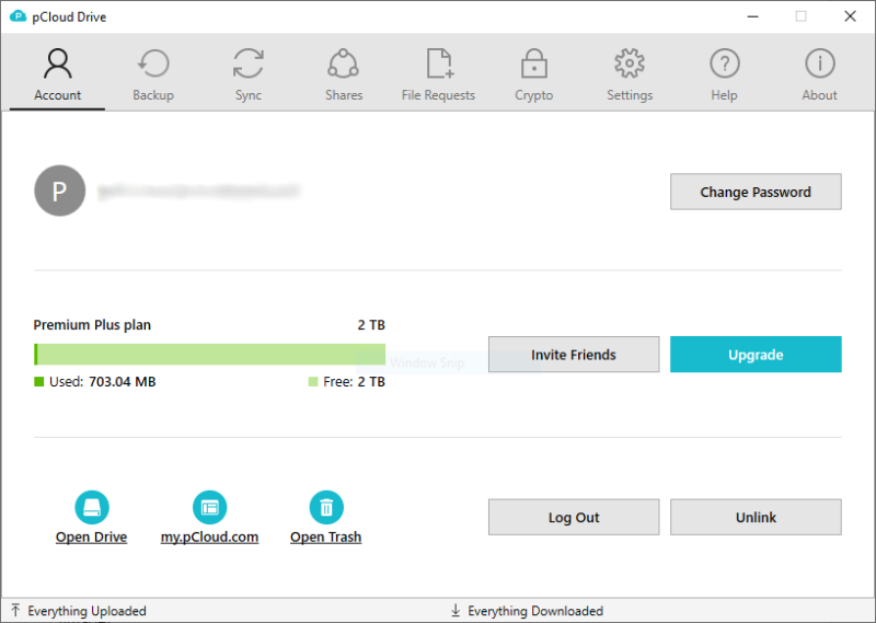 pCloud vs MEGA 2023 [Features, Security & More Compared]