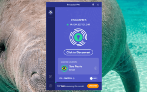 The Best Free Brazil VPN in 2023 [Get a Brazilian IP Address]