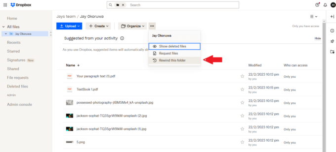 Recover Deleted Dropbox Files in 2023 [Versioning & Rewind]
