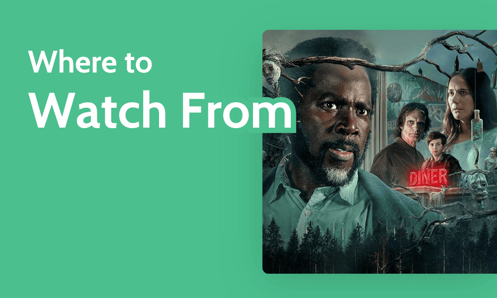 Where to Watch From (TV Series): Seasons 1, 2, & 3 in 2025